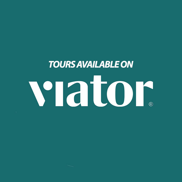 Private Istanbul Tours by Local Guides - Apopedia Travel Turkey